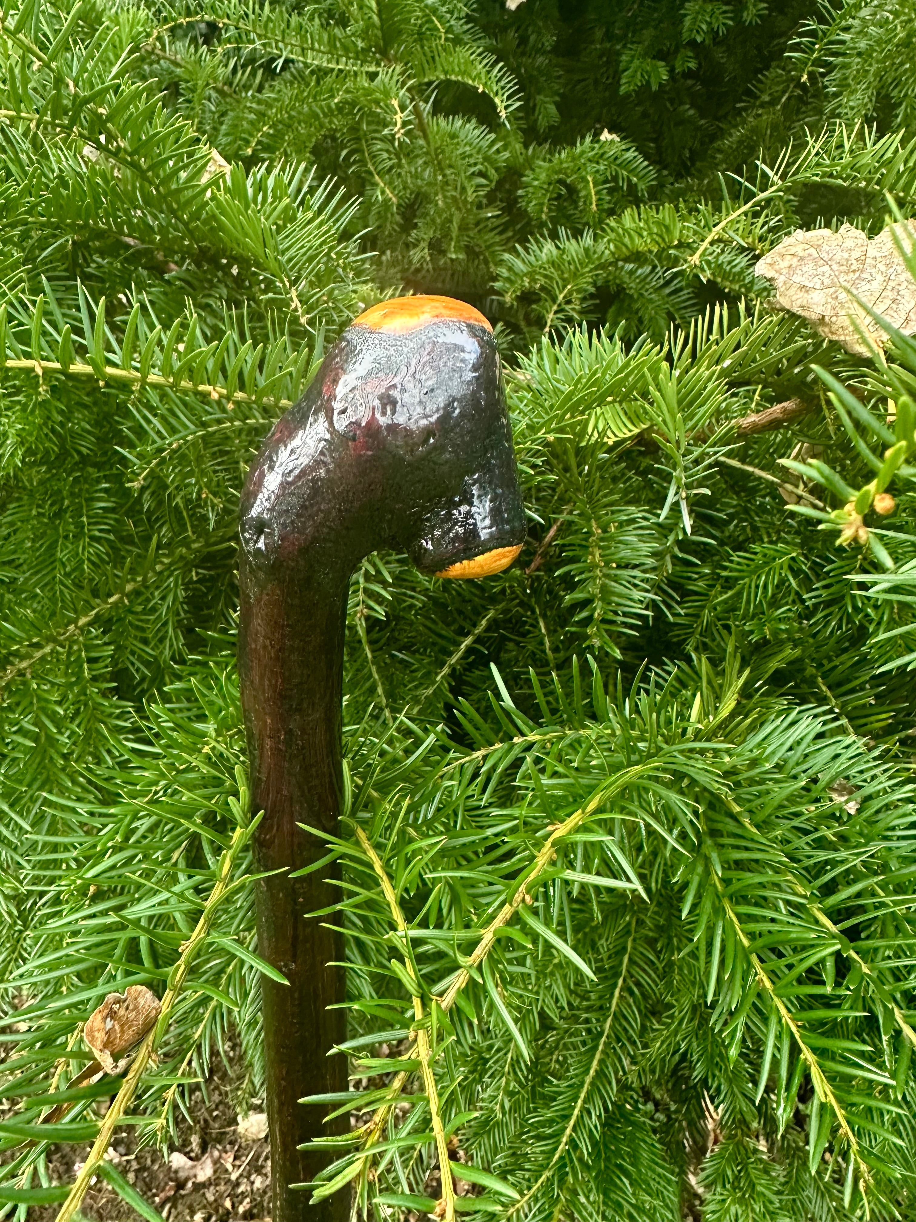 Blackthorn Walking Sticks | My Irish Walking Stick