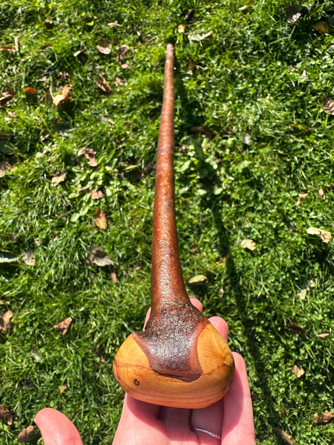 Blackthorn Walking Sticks | My Irish Walking Stick