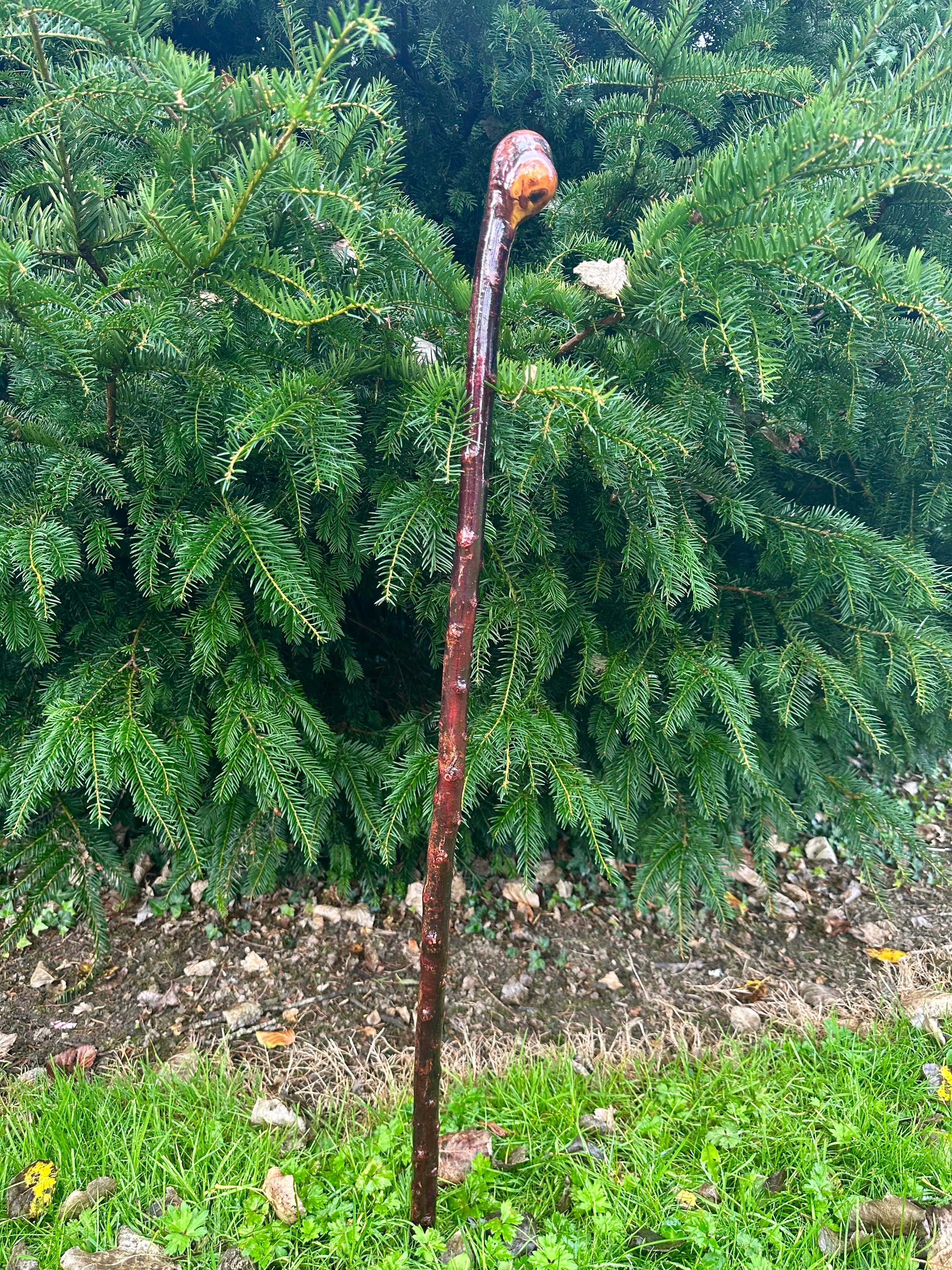 Blackthorn Walking Sticks | My Irish Walking Stick