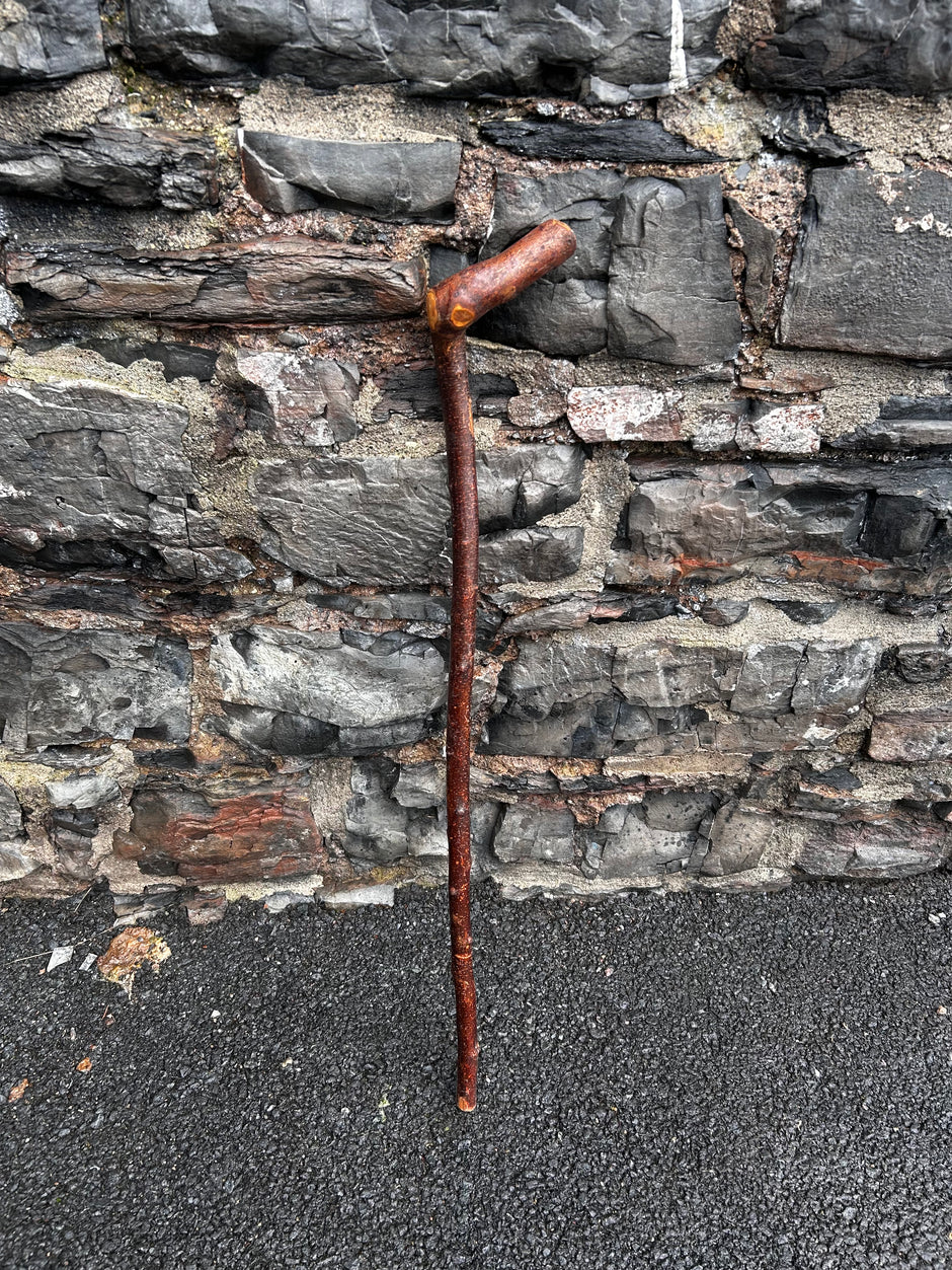Blackthorn Walking Sticks | My Irish Walking Stick