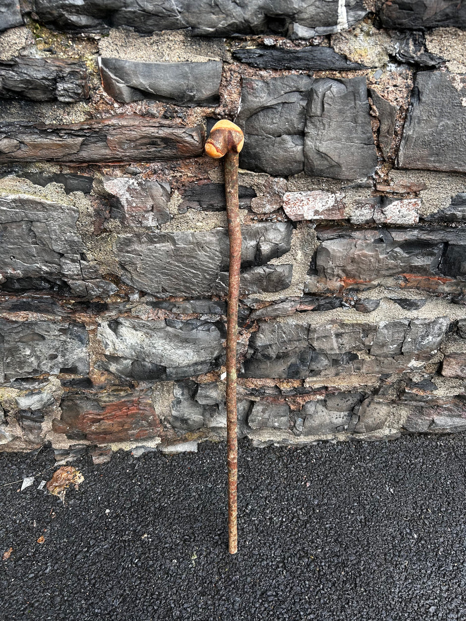 Blackthorn Walking Sticks | My Irish Walking Stick