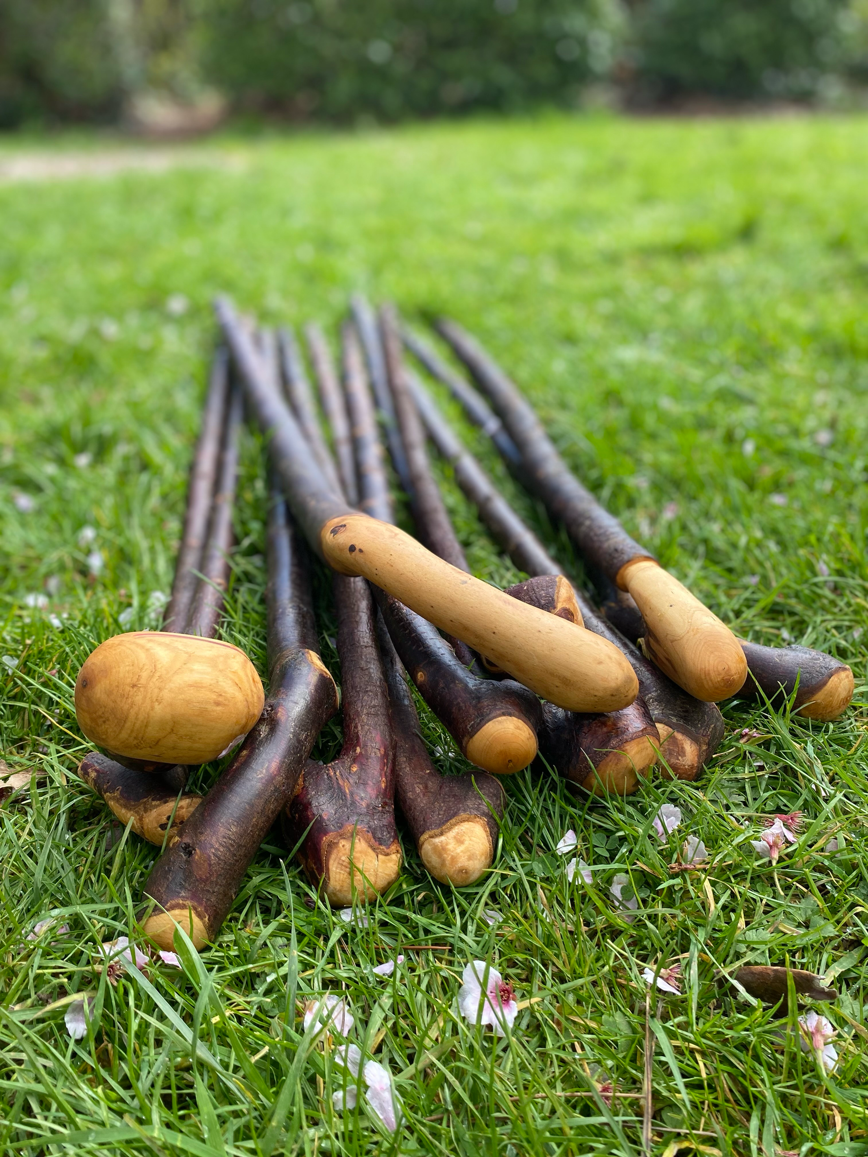 My Irish Walking Stick