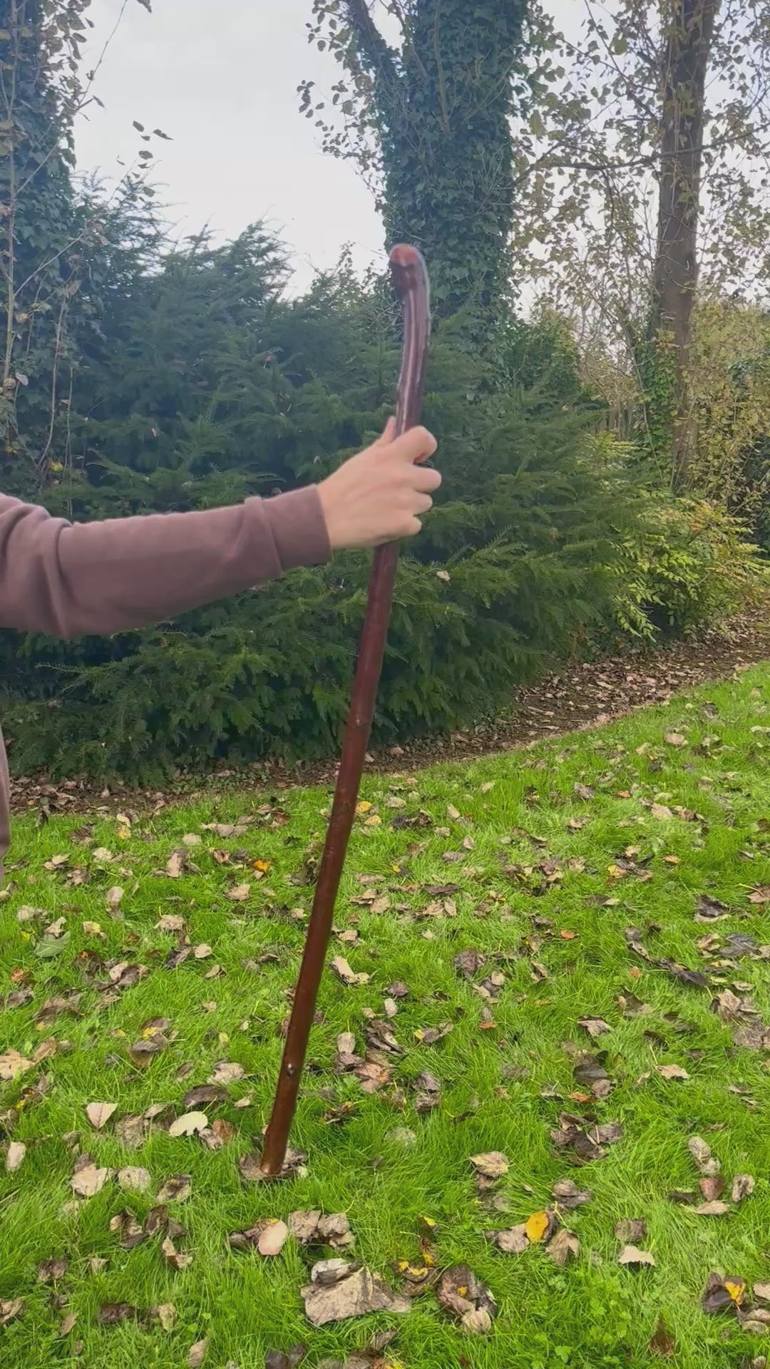 Blackthorn Walking Sticks | My Irish Walking Stick